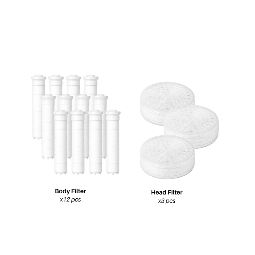 AquaPro/AquaLite Chlorine Head Filter & Body Filters (Three Sets ...